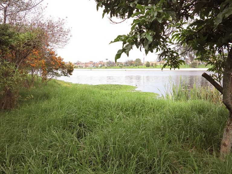 Humedal Juan Amarillo o Tibabuyes