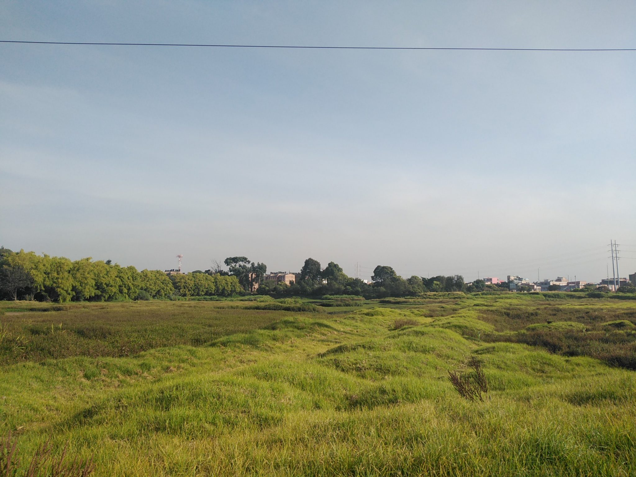 Humedal Tunjo » Observatorio Ambiental de Bogotá