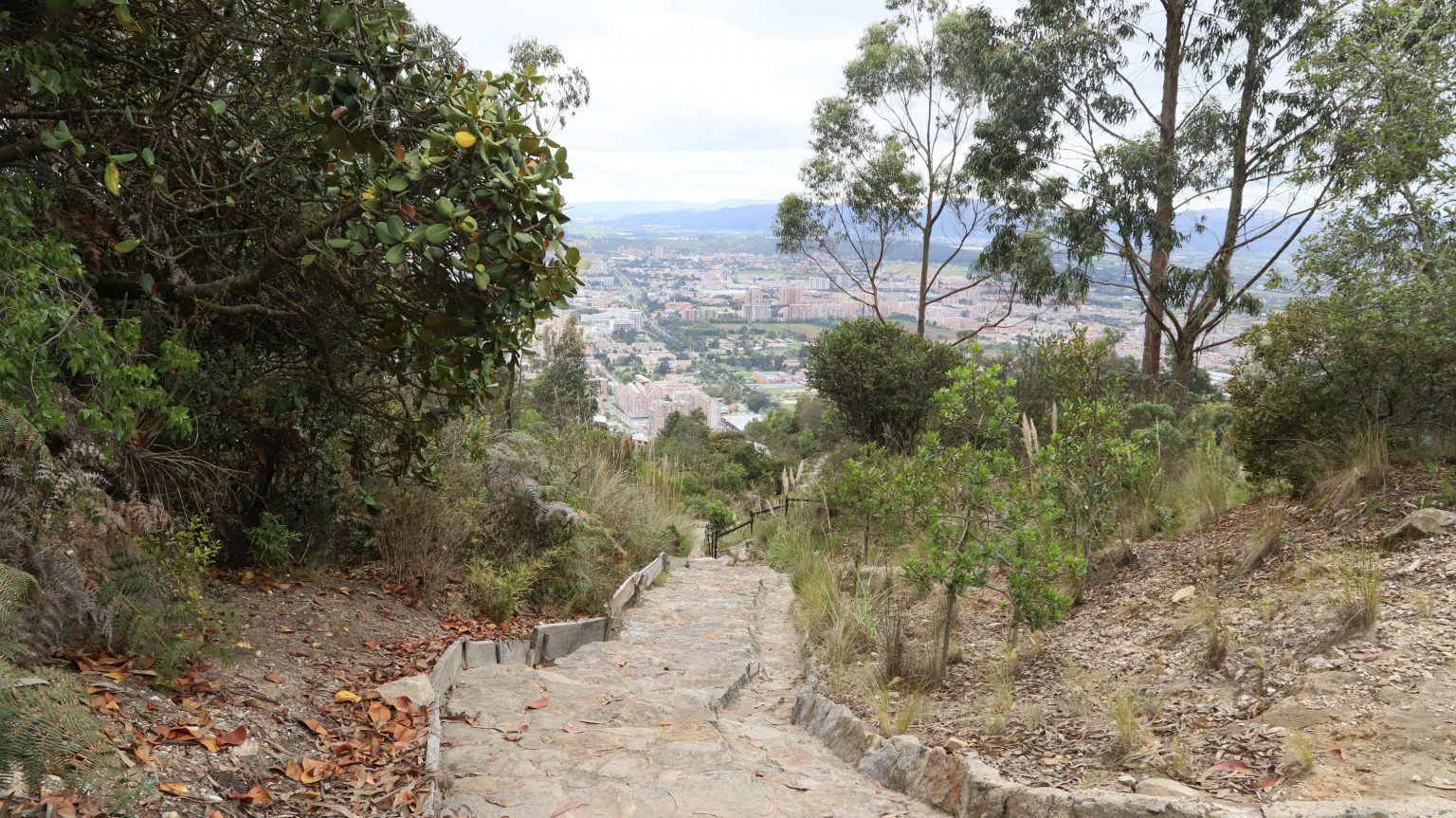 Áreas Protegidas de Bogotá: Visor Geográfico Ambiental