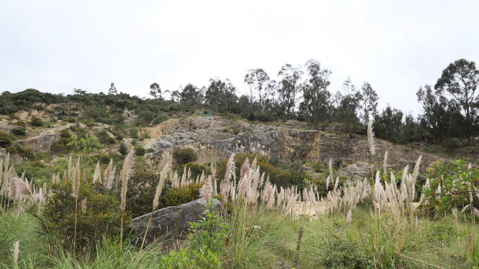 Áreas Protegidas de Bogotá: Visor Geográfico Ambiental