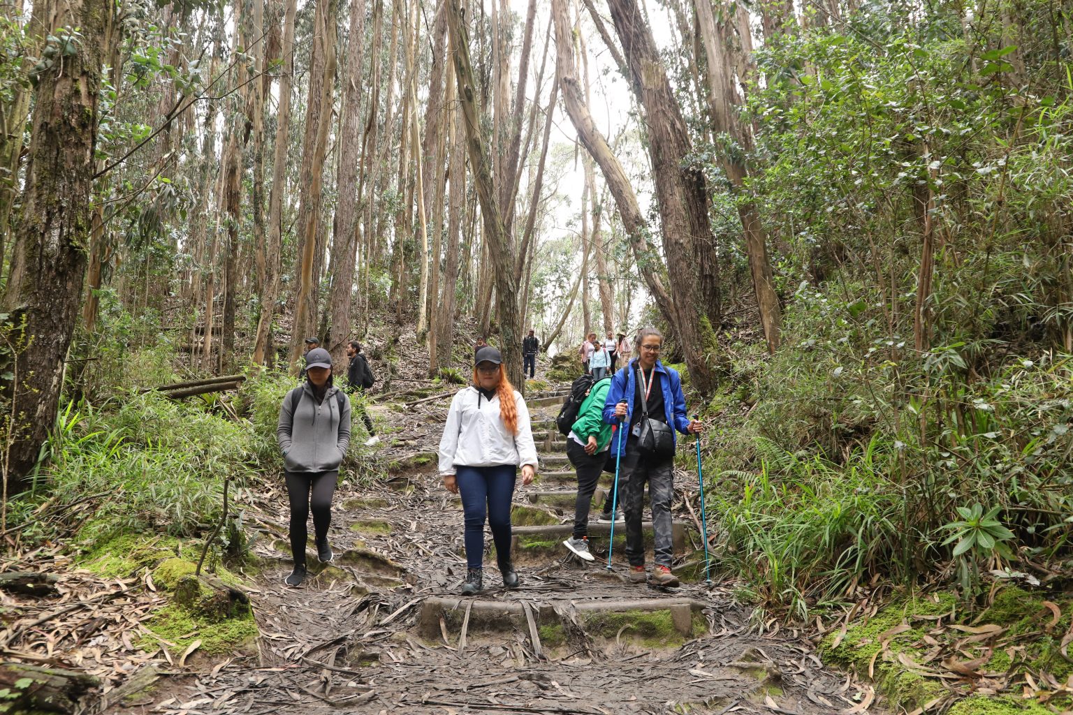 Observatorio Ambiental de Bogotá » Datos e indicadores para medir la ...